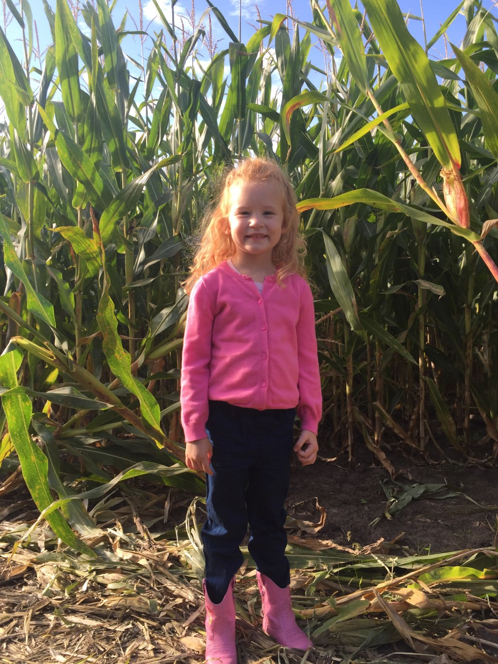 How to Apply for the 45Z Tax Credit: A Step-by-Step Guide – 45Z.org